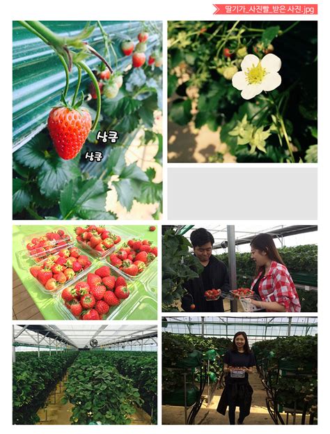 웹표준개발2팀 워크샵 후기 Part1 Hivezine