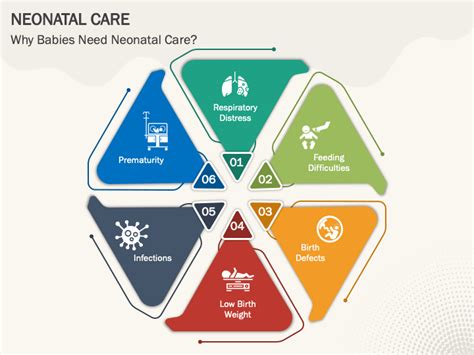 Neonatal Care PowerPoint And Google Slides Template PPT Slides