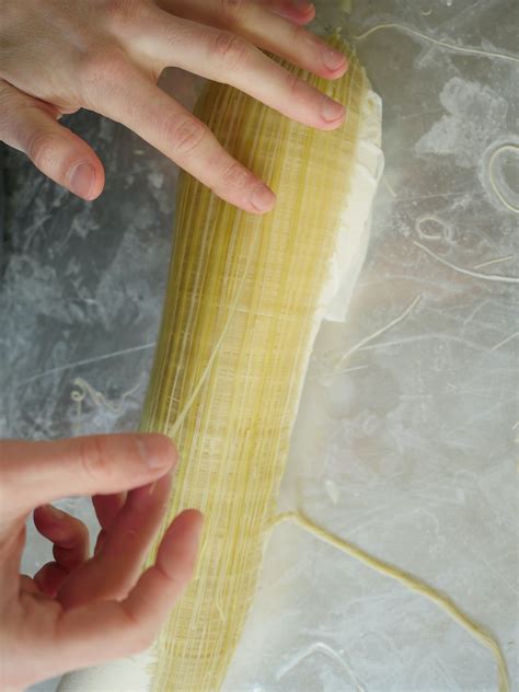 Fermented Fashion Growing Textiles With Plants And Microbes Dulcie