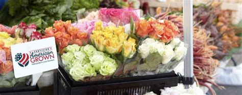 Nipomo Flowers And Ts Best Flower Site