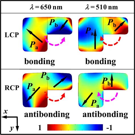 The Resonant Modes Expressed By The Charge Density Distribution On