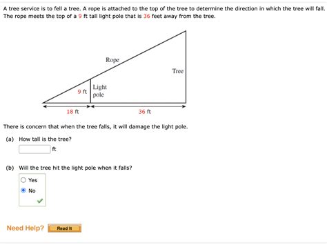 Solved A Tree Service Is To Fell A Tree A Rope Is Attached Chegg Com