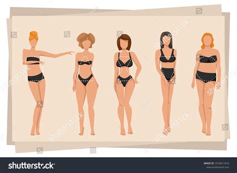 Vektor Stok Women Lingerie Showing Different Body Shapes Tanpa Royalti 1918411916 Shutterstock