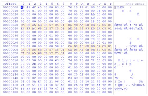Solved Please Examine The MFT FILE Record Below And Report Chegg Com