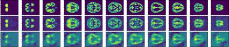 Multivariate Convolutional Sparse Coding With Low Rank Tensor