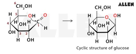 Glucose Cyclic Structure Of Glucose Properties And Different Forms