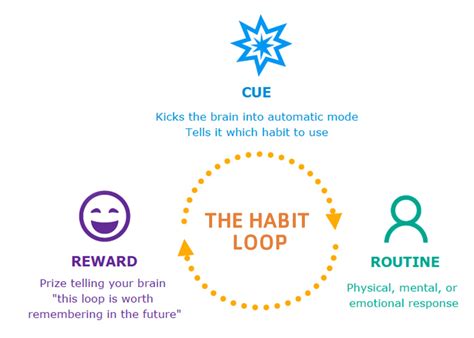 Week 7 Understanding The Habit Loop Ymca Of Greater Boston