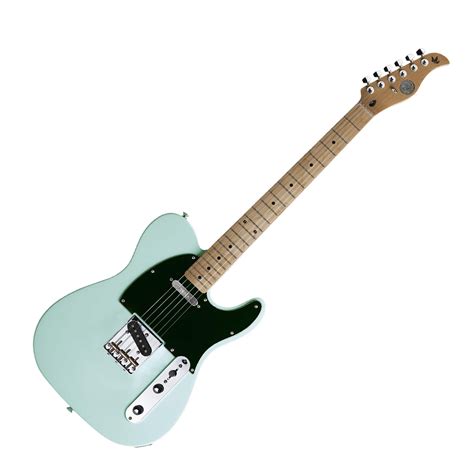 일렉트릭 기타 주식회사 고퍼우드