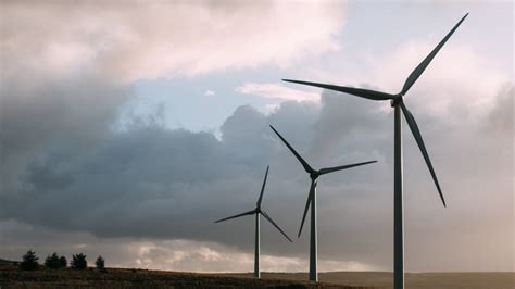 How To Calculate Relative Abundance Ecology Ecology Today