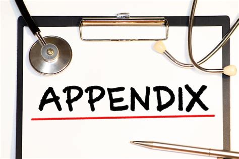 Premium Photo Appendix Text Written On A Diary