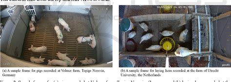 Figure 2 From Video Based Detection And Tracking With Improved Re