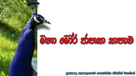 මහා මෝර ජාතක කතාව Youtube