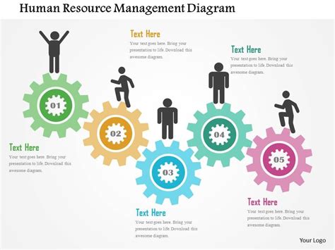 Human Resource Management Diagram Flat Powerpoint Design Powerpoint