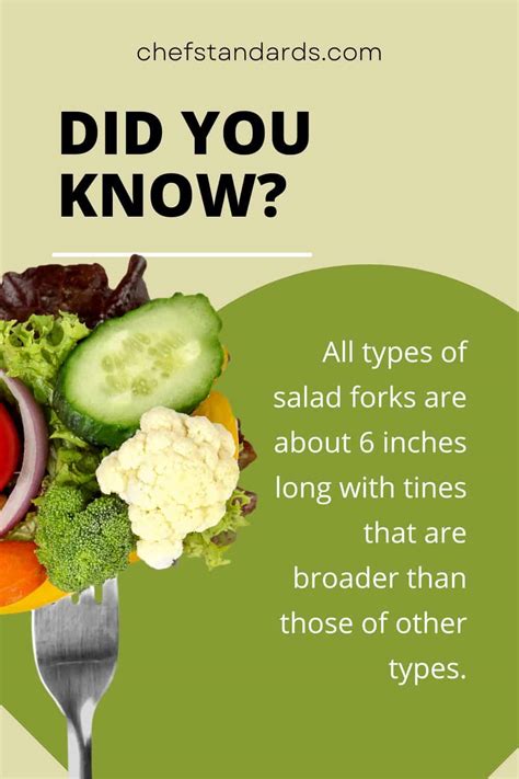 Salad Fork Vs Dinner Fork Key Differences Between Forks