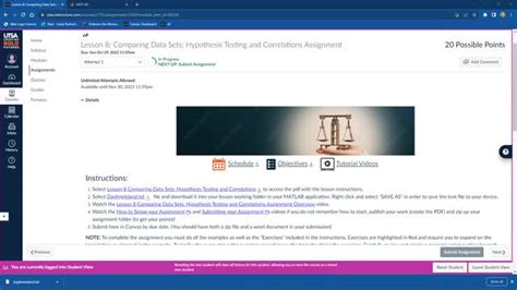 Lesson 8 Assignment Overview
