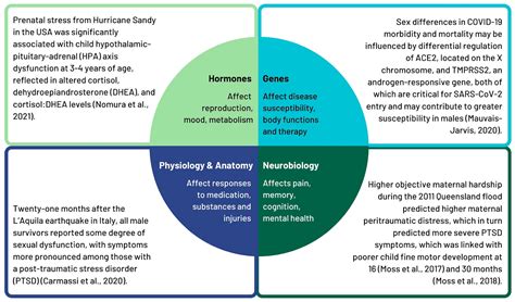 Sex And Gender Influences On The Impacts Of Disasters A Rapid Review