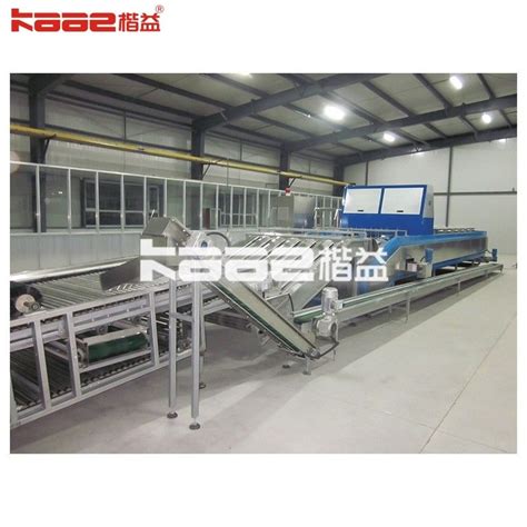 05 30th Automatic Sorting System Fruit Photoelectric Sorting System