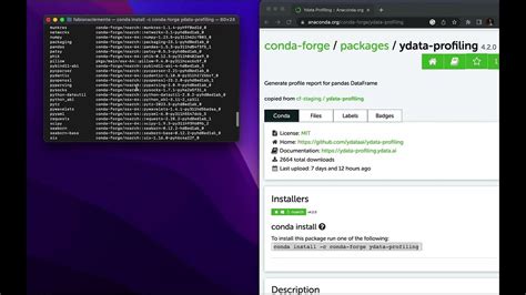 How To Install Ydata Profiling With Conda On Python 311 Youtube