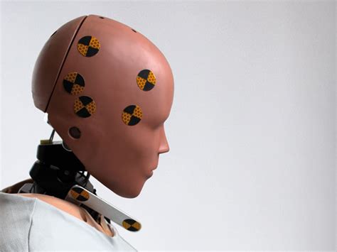 Vti Develops Models For Crash Tests Of Both Women And Men Nordic Road And Transport Research