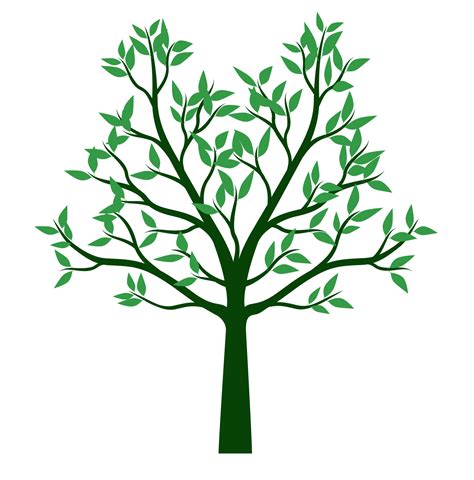 Green Tree With Leaves Vector Outline Illustration Plant In Garden 22432336 Vector Art At