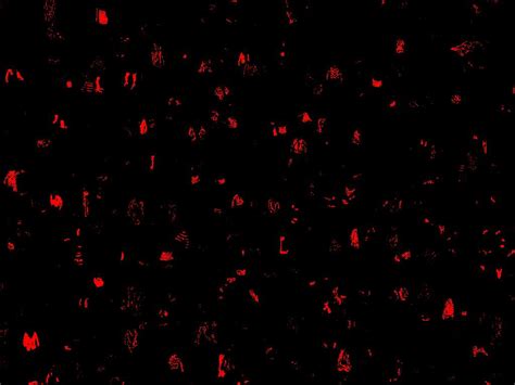 coding challenge can we find waldo similarly using python instead of mathematica python