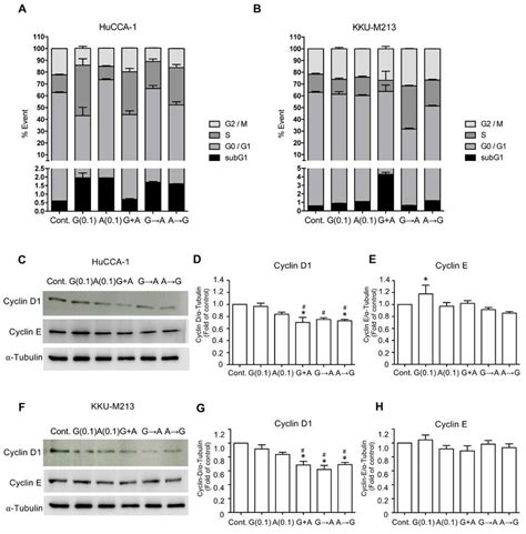 Effect Of Gemcitabine And Afatinib Combination On Cell Cycle Download Scientific Diagram