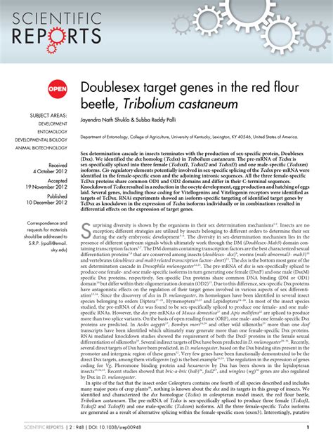 Pdf Doublesex Target Genes In The Red Flour Beetle Tribolium Castaneum