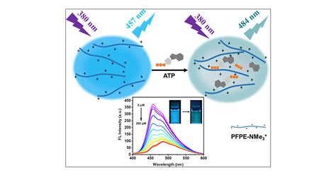Water Soluble Conjugated Polyelectrolytes For Adenosine Triphosphate Atp Detection Acs