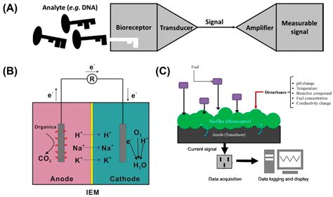 Microbial Fuel Cell Based Biosensors