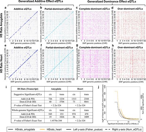 Trans Acting Enrichment Among Dominant Isoform Level Eqtls In Hs Rats