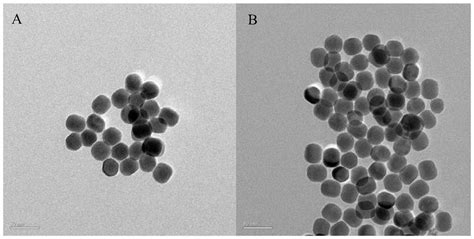 Bisphenol A And Estradiol Detection Kit And Application And Detection Method Based On Up