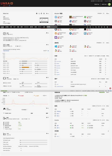 系统不停占用资源 Chinese 简体中文 Unraid