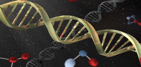 Researchers Discover Transcription Factors Can Bind Rna And Have A Big