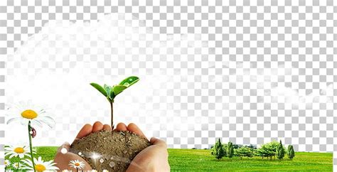 Update SQL Data Table Electronics PNG Clipart Artificial Grass Data
