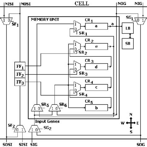 An Embryonic Cell And Its Cyclic Memory Implemented Artificial Dna