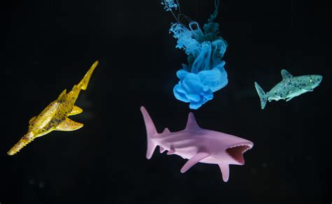 무료 이미지 추상 아크릴 미술 예술적 검은 배경 혼합 푸른 선명한 파열 구름 물에 색을 입히다 화려한 대조 창조적 인 위험 장식 깊은