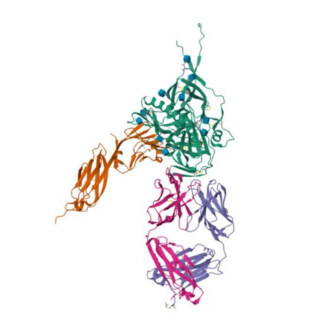 Rcsb Pdb 3jwd Structure Of Hiv 1 Gp120 With Gp41 Interactive Region Layered Architecture And