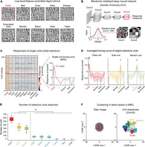Frontiers Invariance Of Object Detection In Untrained Deep Neural