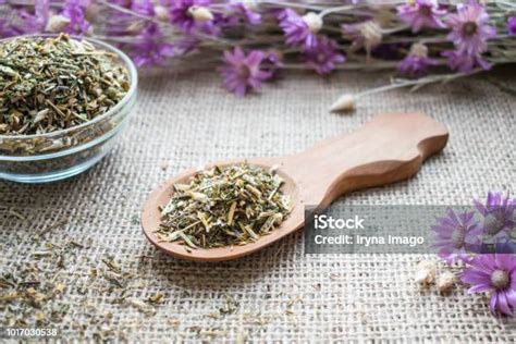 Beggarticks 허브 차 약 나물 Bidens Pilosa 중국 전통 의학에서 시안 Feng 카오 라는 차 뜨거운 음료에 대한 스톡 사진 및 기타 이미지 Istock