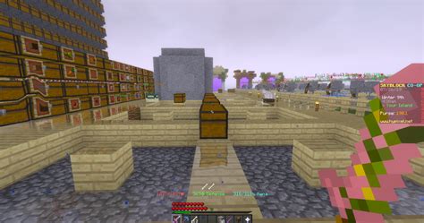 Skyblock With Shaders Hypixel Forums