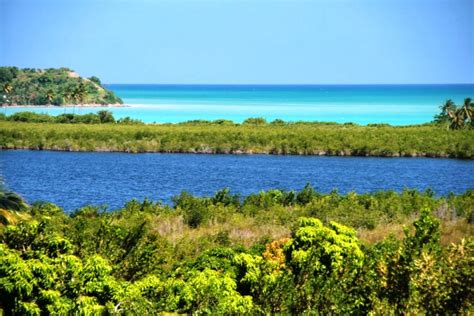 CategoryÎle à Vache Wikimedia Commons