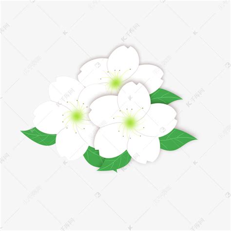 春天春季水果开花梨树梨花植物花朵素材图片免费下载 千库网