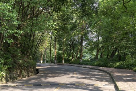 2023西南交通大学 峨眉校区 游玩攻略 大学峨眉校区在风景秀丽 去哪儿攻略
