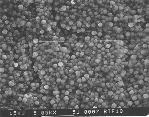 Scanning Electron Micrographs Of A Hydrothermally Prepared Batio3 Download Scientific Diagram
