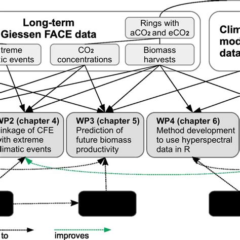 General Work Flow Of The Thesis Download Scientific Diagram
