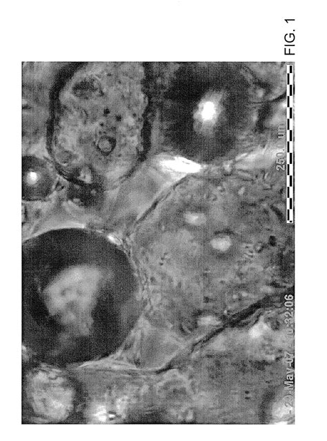 Polypropylene Glycol Patented Technology Retrieval Search Results Eureka Patsnap