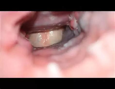 Innere Angelegenheiten XHamster