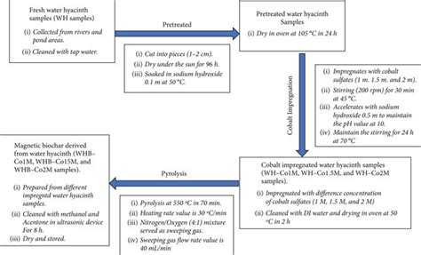 The Preparation Process Of The Magnetic Biochar Is Derived From Water Download Scientific