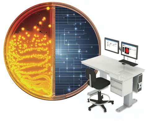 Role Of Microbiology Lab Automation In Transforming Hospital Efficiency And Sustainability