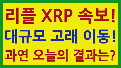 리플 코인 전망 Xrp 고래들의 대규모 이동 내역들 오늘의 결과는 어땠을까 Youtube